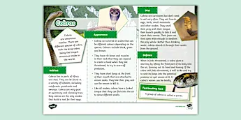 Animals Fact File • Twinkl.ca