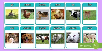 Farm Animals Matching Cards | twinkl.com.au