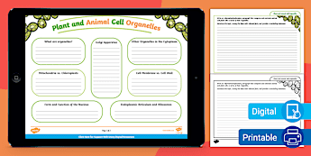 Sixth Grade Cells | twinkl.com