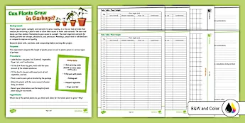 6th Grade Science Projects | twinkl.com