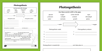 Photosynthesis Worksheets | twinkl.com