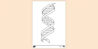 DNA Resources | twinkl.co.uk