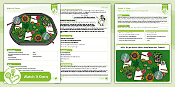 Understanding The World EYFS Activities - Twinkl