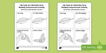 Butterfly Life Cycles | twinkl.ca