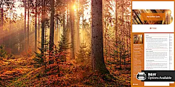 Carbon Cycle Resources | twinkl.com.au