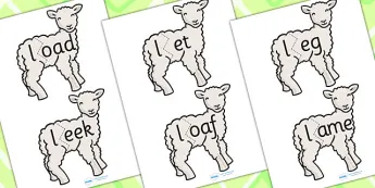 Phonics Vowels | twinkl.com.au