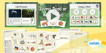 Living Things and Their Habitats - Year 2 Science Resources