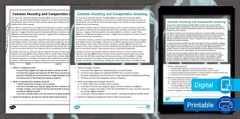 Comparative Anatomies | twinkl.com