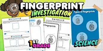 Science Worksheets | twinkl.com