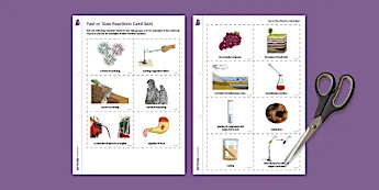 Chemical Reactions Resources | twinkl.co.uk