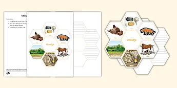 History Writing Template • Twinkl.com.au
