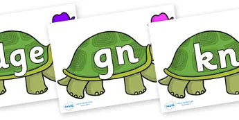 Tortoise Resources | twinkl.co.uk