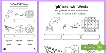 'wh' Sound Activities | twinkl.co.uk