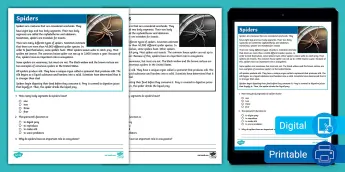 Comprehension Reading • Twinkl.com