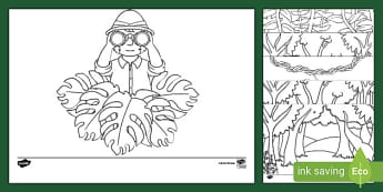 Rainforest and Jungle Colouring Ideas for Parents and Kids