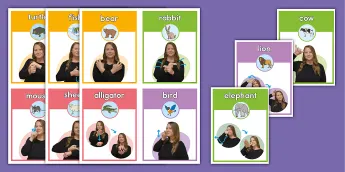 ASL Printable Flash Cards | twinkl.com