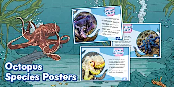 Octopus Posters | twinkl.co.uk
