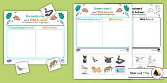 Cut and Paste Animals | twinkl.com