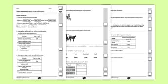 Year 3 Science Assessments | KS2 Resources | 2014 Curriculum