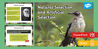 8th Grade Biology Lessons | twinkl.com