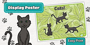 Cats & Kittens | twinkl.co.uk