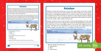 3rd Grade Reading Comprehension | ELA | Twinkl USA - Twinkl