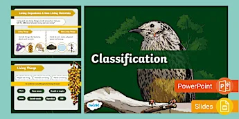 Classification Worksheets | twinkl.co.uk