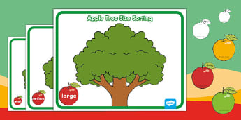 Sorting Worksheets & Printables | Prekindergarten | Twinkl