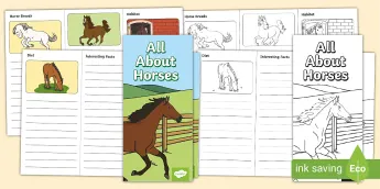 Horses Resources | twinkl.co.uk