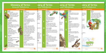 Rainforest Resources | KS2 Primary