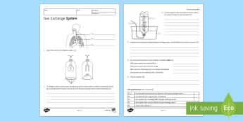 Lungs and Breathing | KS3 Biology | Science | Beyond