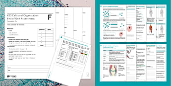 Cells and Organisation Unit of Work | KS3 Biology | Beyond
