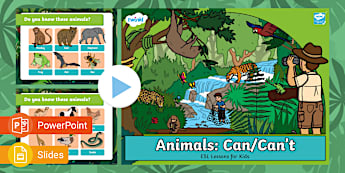 Animals - Browse by Topic - ESL/EFL Resources - Twinkl