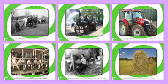 On the Farm - Worksheets and Farm Resources | KS1 - Twinkl