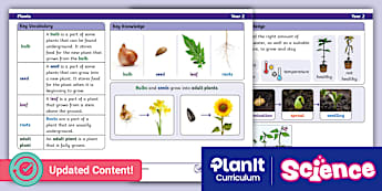 Plants - Year 2 Science Resources - Twinkl