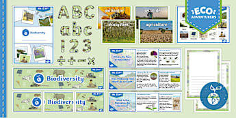 Year 6 | Life on Earth & Biodiversity | Sustainability