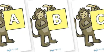 Monkey Images | twinkl.ca