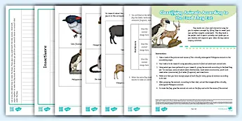 Animal Classifications | twinkl.co.uk