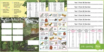Rainforest Home Learning Activities | twinkl.co.uk