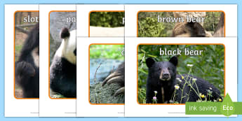 Bears Early Years (EYFS) - Brown bear, Grizzly Bear, Polar Bear