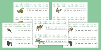 Upper Case Alphabets | twinkl.com.au