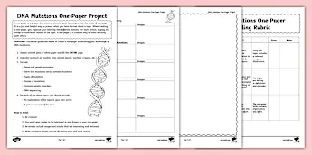 Genetics Worksheets | twinkl.com