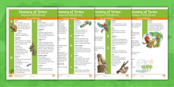 Amazon Rainforest Resources | twinkl.co.uk