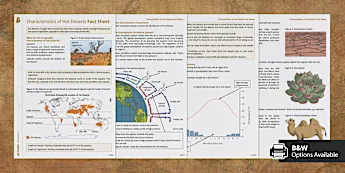 Hot Deserts Geography | twinkl.co.uk