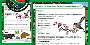 Insects and Garden Critters | Bug theme preschool | Twinkl