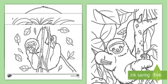 Rainforest and Jungle Colouring Ideas for Parents and Kids