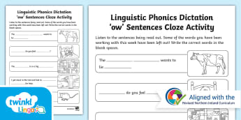 'ow' Sound Phase 2 - Stage 5/6 Phonics - Linguistic Phonics - Resources