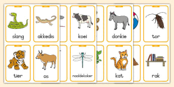 Graad 2 (Grade2) Klanke - | Afrikaans | - Twinkl