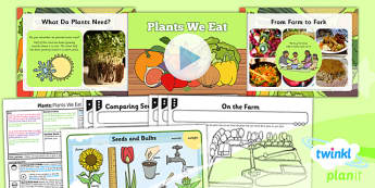 Plants - Year 2 Science Resources