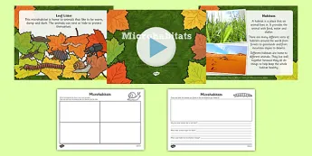 Ecology Resources | twinkl.com.au